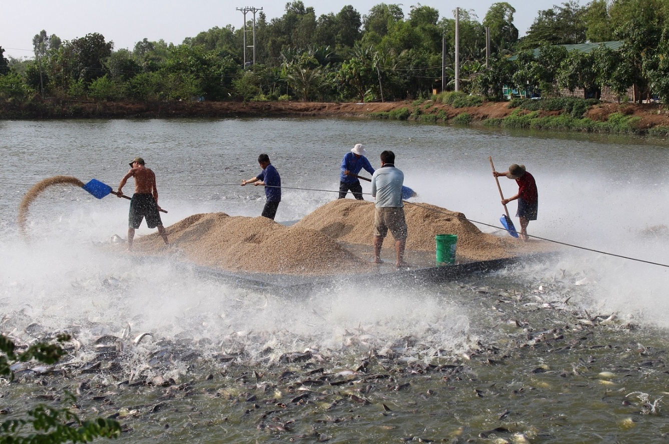 Trang chủ - Thuốc thuỷ Sản Chất Lượng Cao Bioben